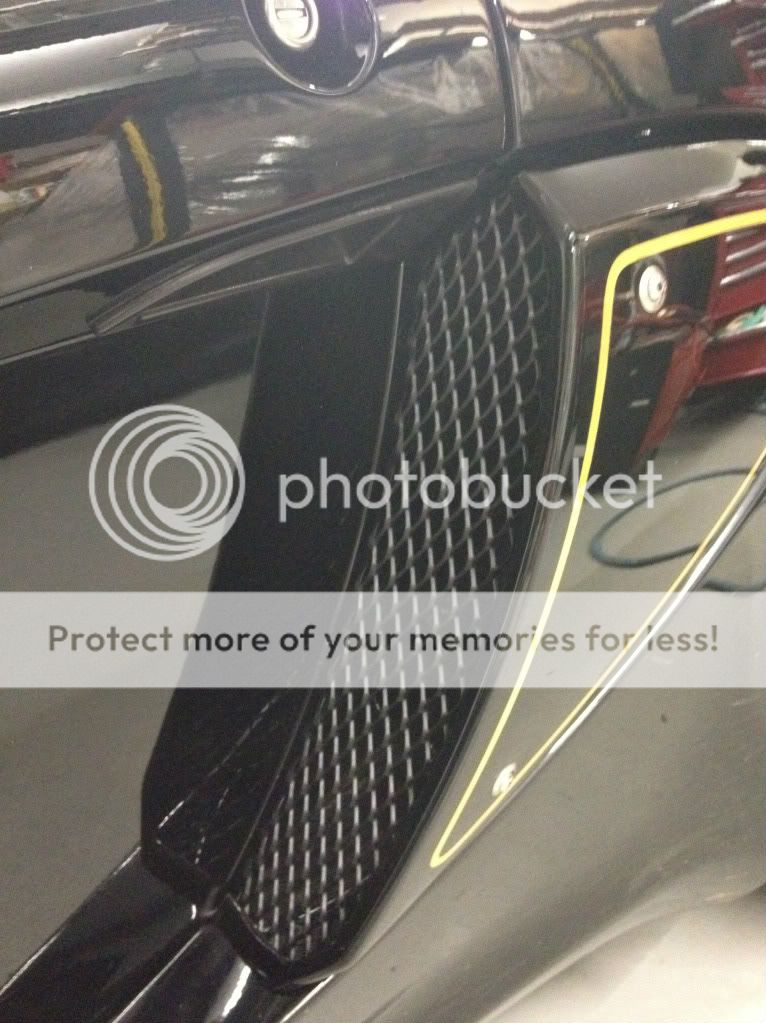 Removing Roof Air Intake Mesh | The Lotus Cars Community